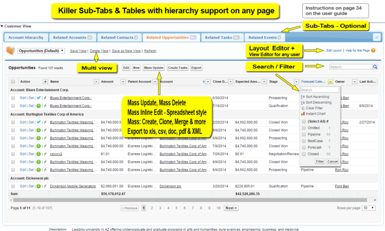 Account Hierarchy View Within Salesforce Dm For Salesforce